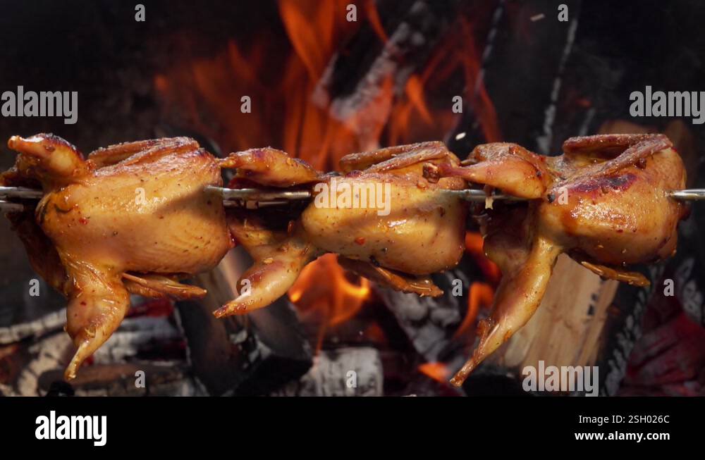 Delicious quail carcasses on the skewer are placed above the open fire ...