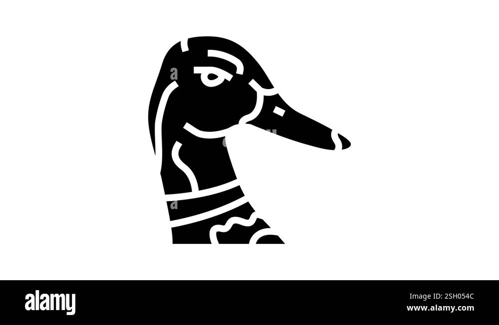 duck animal zoo glyph icon animation Stock Video Footage - Alamy duck animal zoo glyph icon animation Stock Video Footage - Alamy
