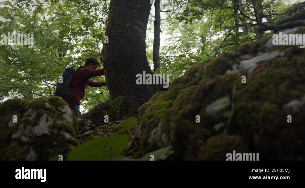 Camera tracking a young hiker climbing in the forest up a big rocks ...