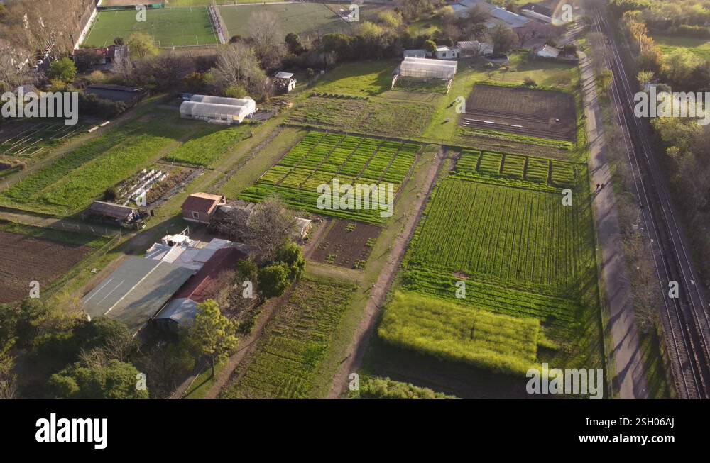 Vegetable plot grown on farmland along railway at sunset, Buenos Aires ...