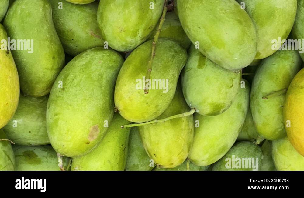 Mango Yield. Collected mango fruit. Street market Stock Video Footage ...