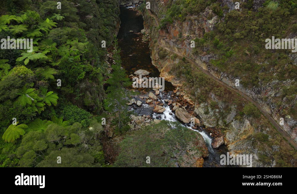 Drone Pan Rocky River Gorge in New Zealand with trees and bushes Stock ...
