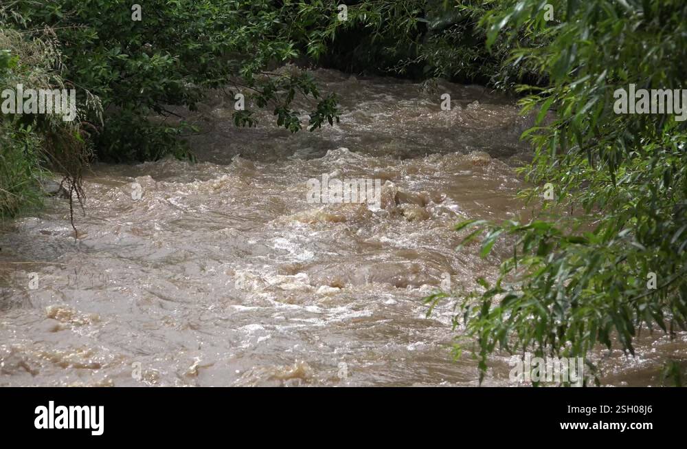 Inundation, Natural Calamity, Disaster, River in Mountains, Muddy ...