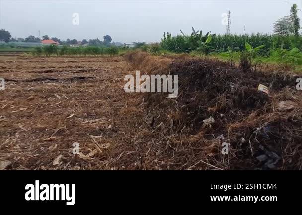 Pile of litter Stock Videos & Footage - HD and 4K Video Clips - Alamy