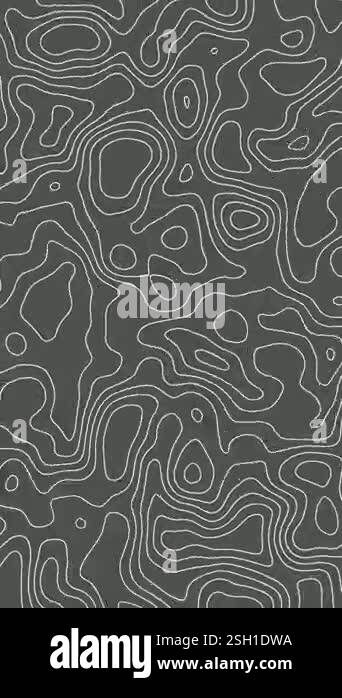 Gray animated topographic lines moving background, contour lines ...