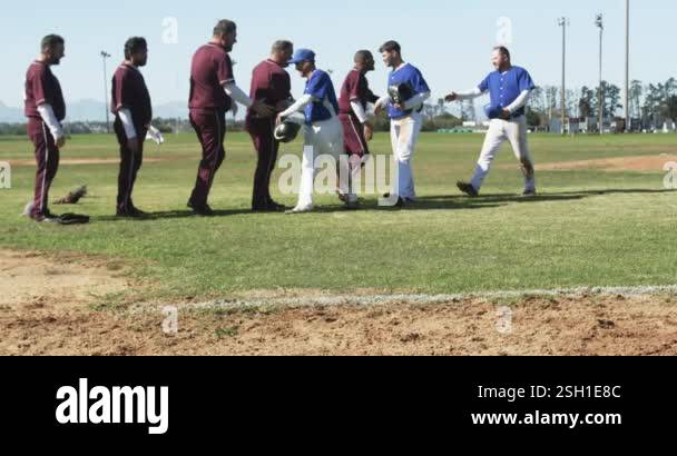 Multiracial male baseball players and shaking hands with each other on ...