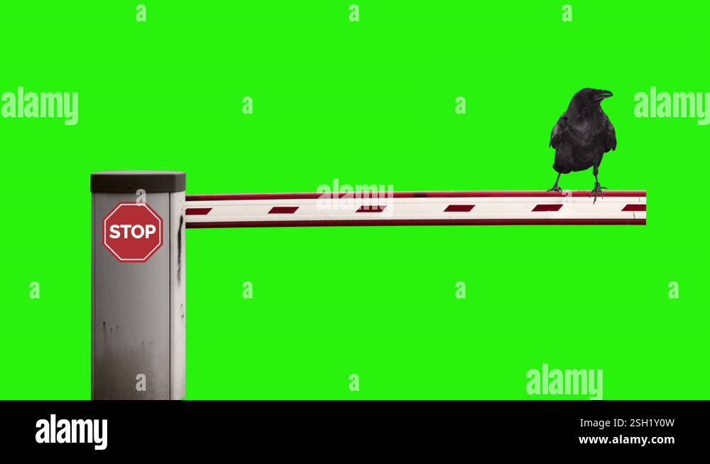 Road barrier green screen Stock Videos & Footage - HD and 4K Video ...