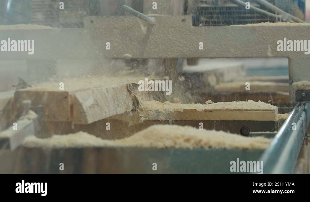 Machine Sawing Sides Of Lumber Board On Workbench At Woodworking Plant ...