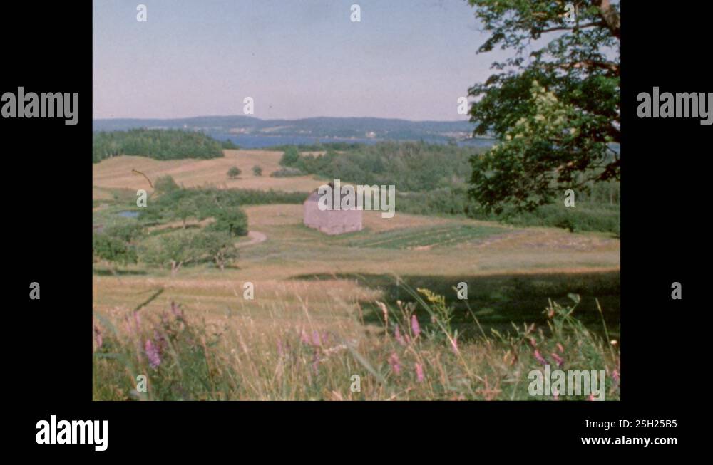 1960s:Barn sits in pasture, plants blow in breeze. People walk near ...