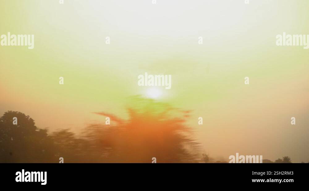 sun flair passing through trees orange sun set sunrise india train pov ...