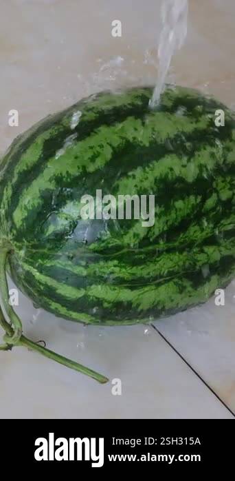 Washing whole watermelon in metal sink. Closeup. Hand washing ...