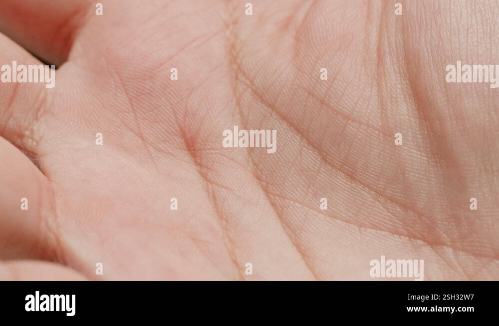 Human hand with lines, Palm reading, foretelling the future through the ...