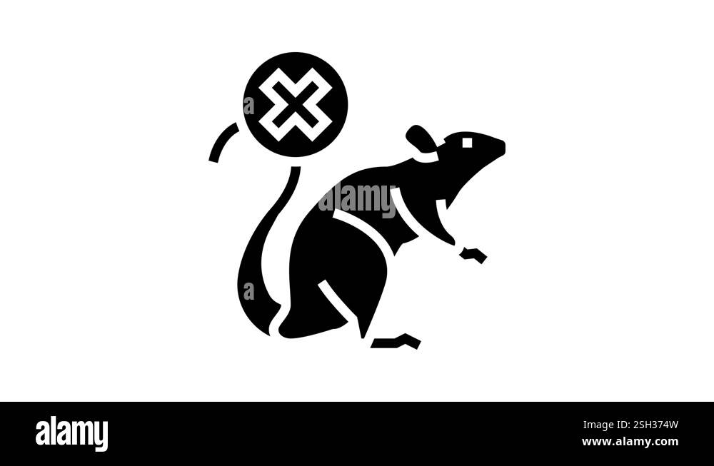 Rat control Stock Videos & Footage - HD and 4K Video Clips - Alamy