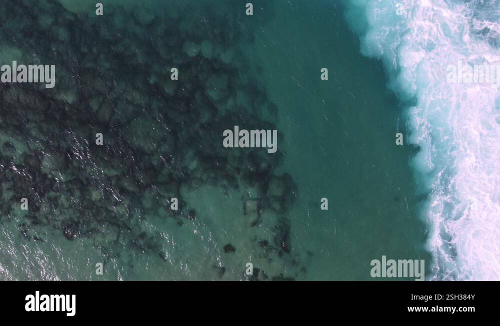 Top-down view of sharks swimming off the coast of Hadera Power Station ...