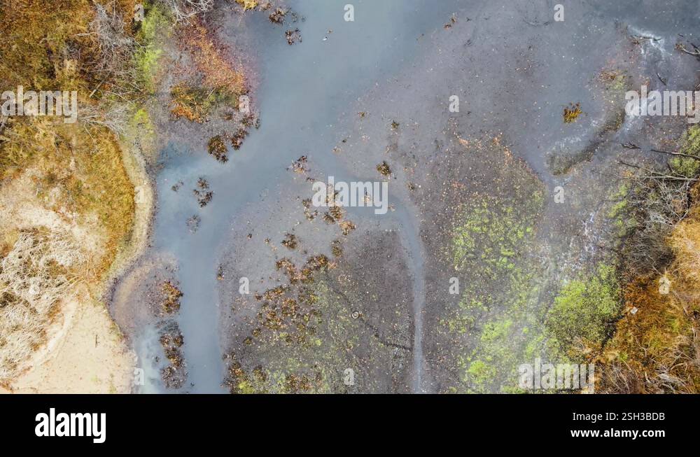 Descending over ducks swimming in a small tributary creek Stock Video ...