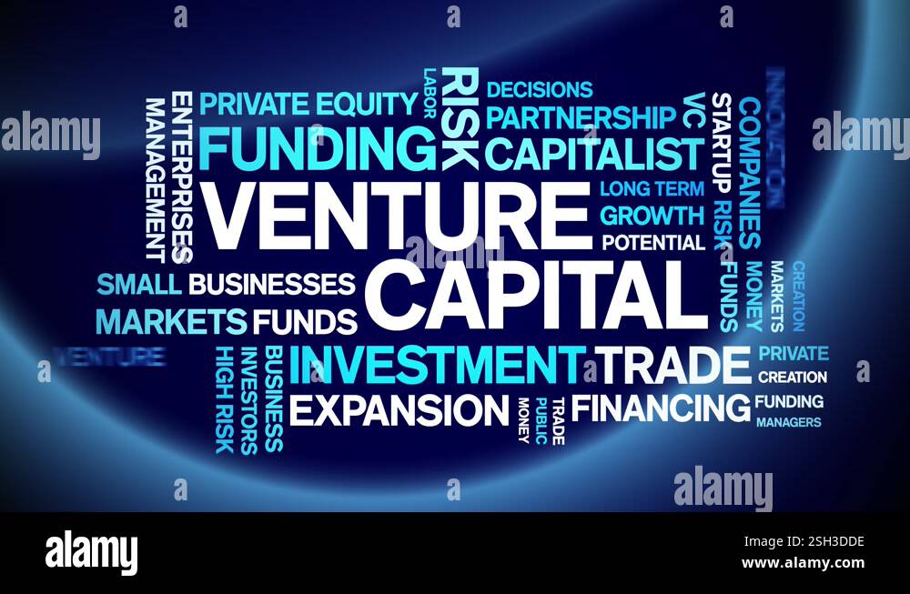 Venture Capital animated word cloud,animation kinetic typography ...