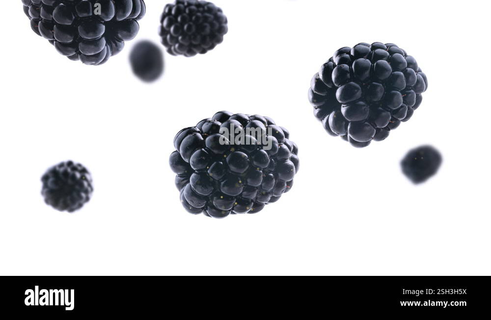 Falling blackberries Background, Animation Close-up of the sweet red ...