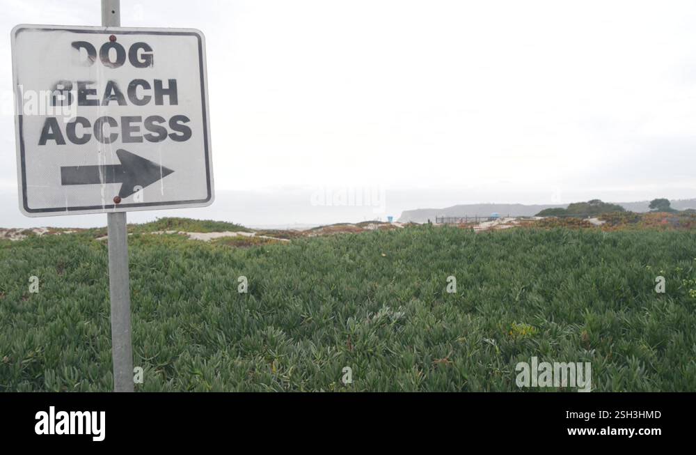 Dog friendly beach access road sign, California USA. Pet walking on ...