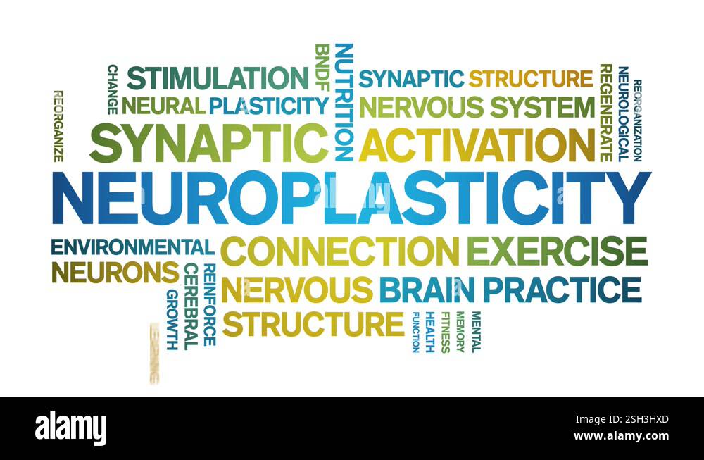 Neuroplasticity animated word cloud,animation text kinetic typography ...