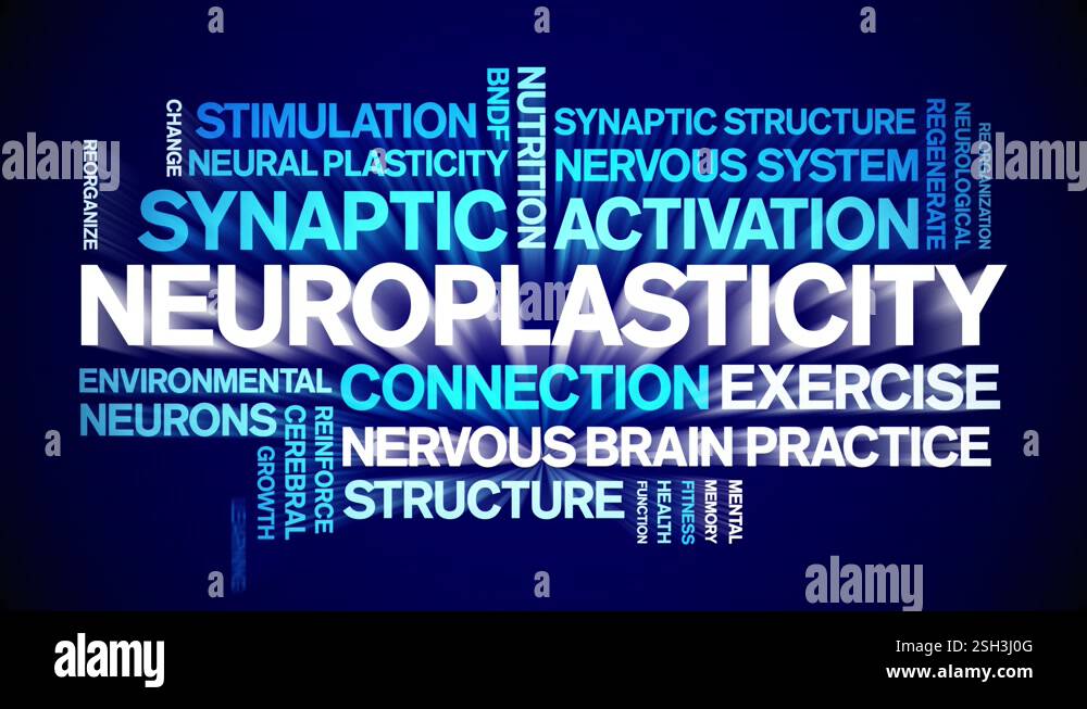 Neuroplasticity animated word cloud,animation text kinetic typography ...