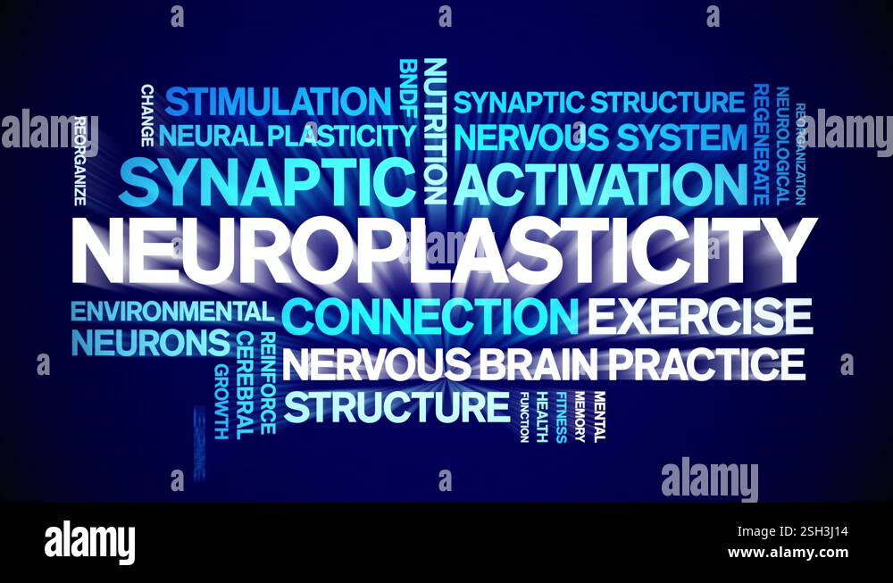 Neuroplasticity animated word cloud,animation text kinetic typography ...