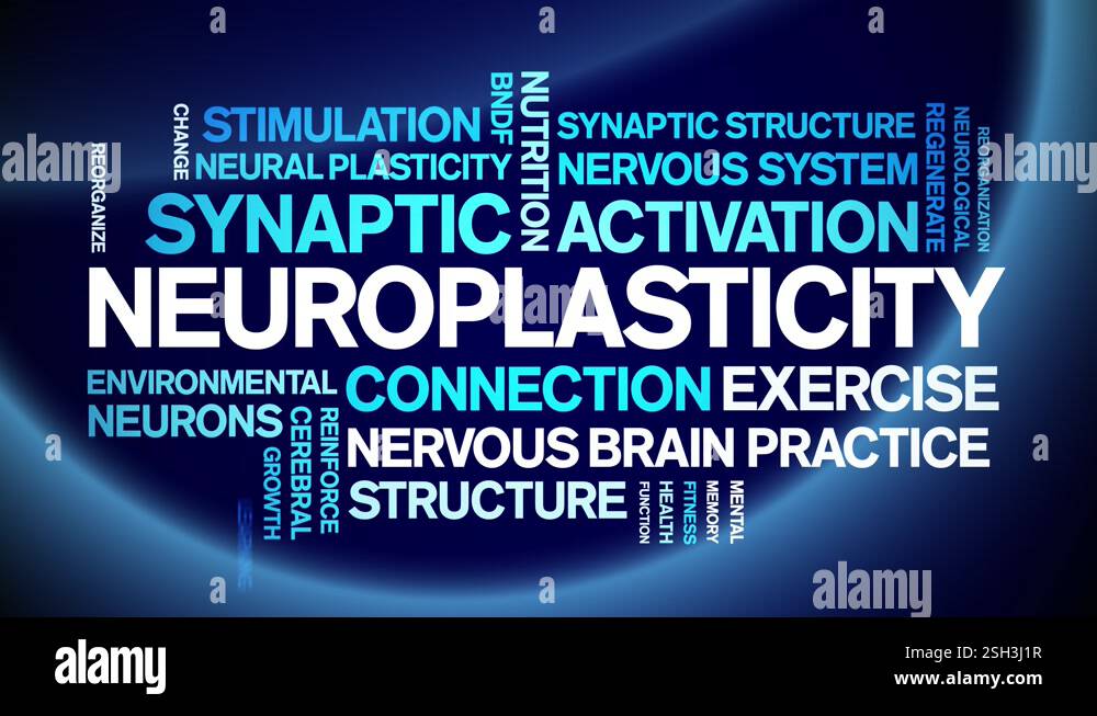 Neuroplasticity animated word cloud,animation text kinetic typography ...