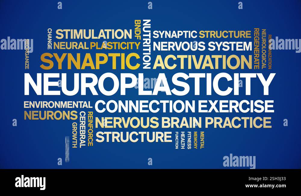 Neuroplasticity animated word cloud,animation text kinetic typography ...