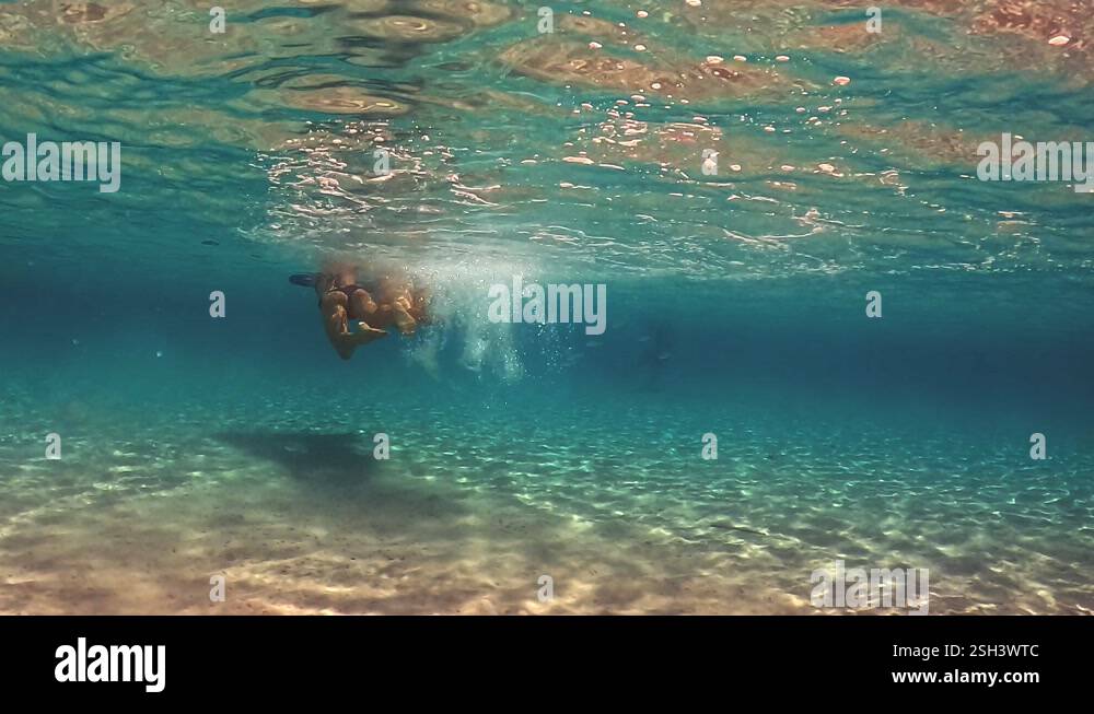 Back view of two women swimming in crystalline transparent ocean water ...