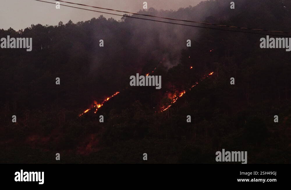 Dramatic zoom in on forest wildfire in Vietnam. Fire in the forest ...