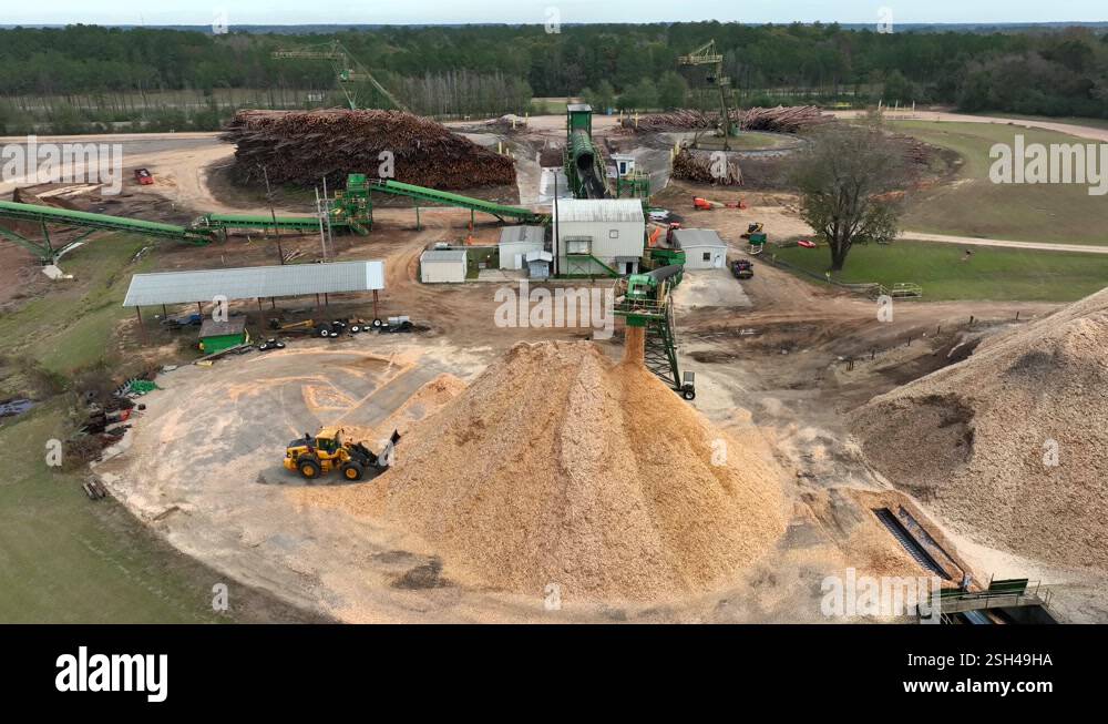 Tractors load ground pulp from tree trunks. Large forestry logging ...