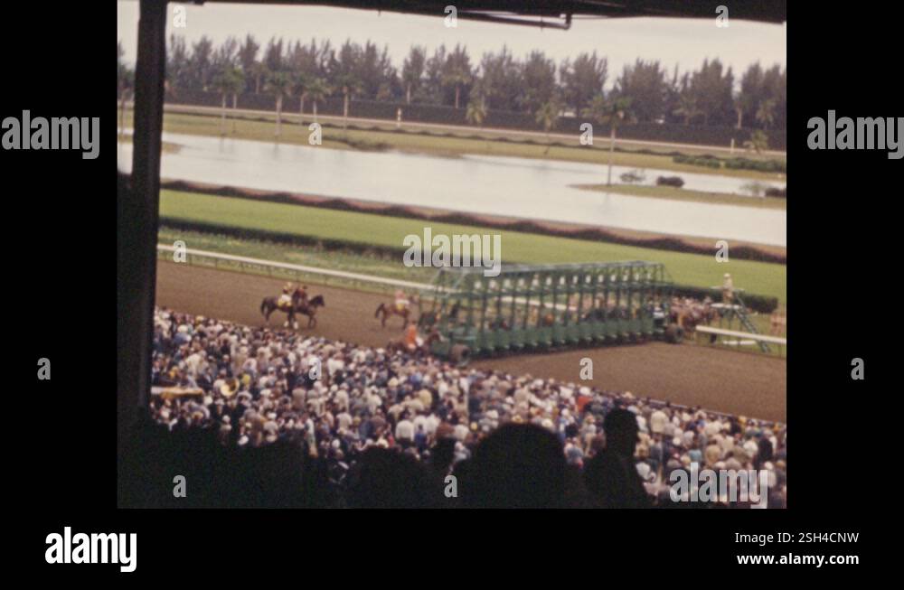 1940s: Flamingos in lake in center of race track. Jockeys line up ...