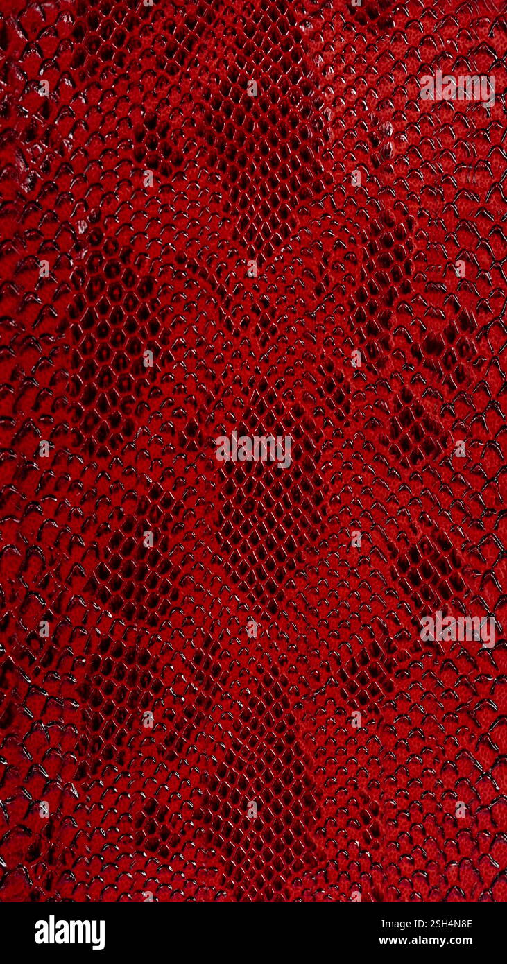 snake skin texture close up background Vertical video Stock Video ...