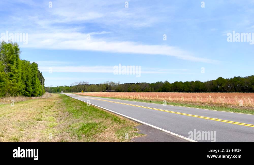 pan wheat field and road in rural Georgia USA in the summer farmland ...