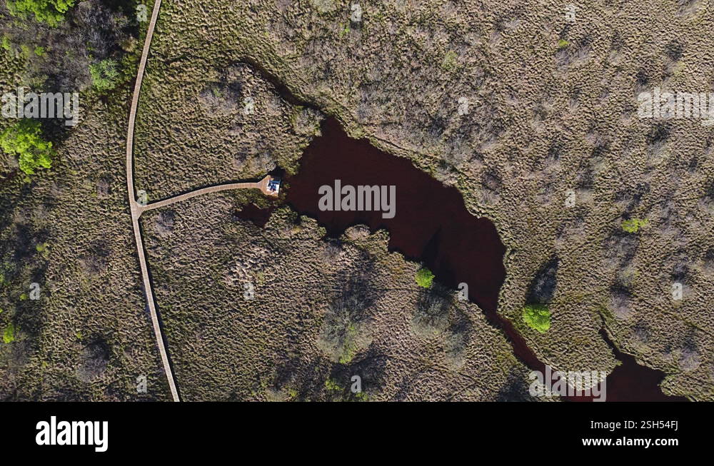 Overhead View Of Boardwalk Walkway At Glenorchy Hiking Area In New ...