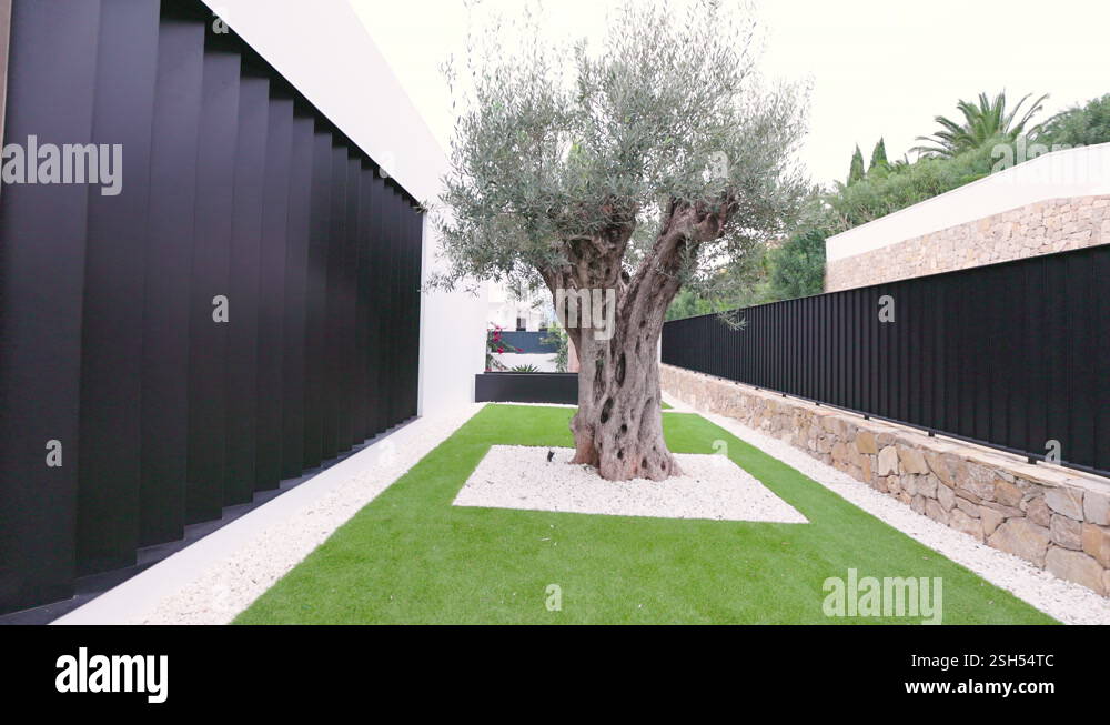 POV Dolly Back From Large Tree In Landscaped Front Garden With Reveal ...