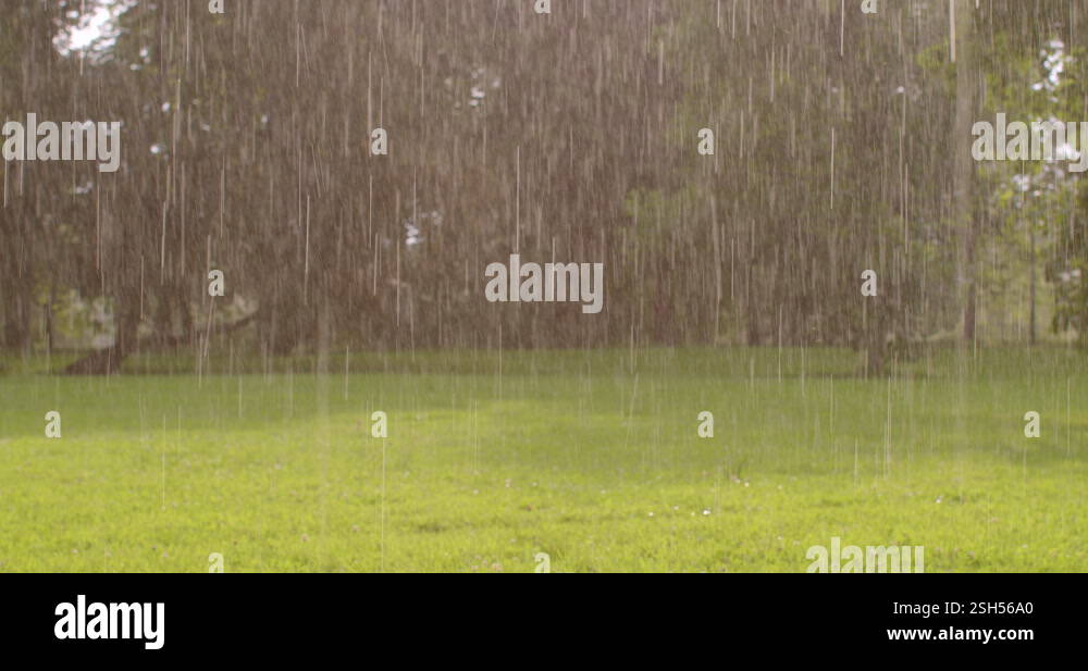 falling out of clouds or deposited from the air on the earth's surface ...