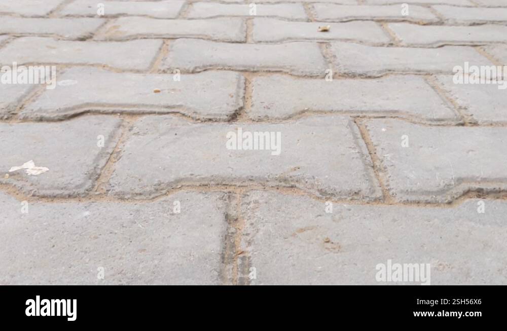 Stone block paving pattern Stock Videos & Footage - HD and 4K Video ...