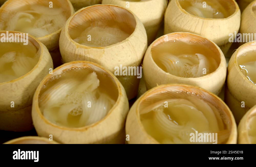 Coconut shells filled with coco jelly, a traditional thai street food ...