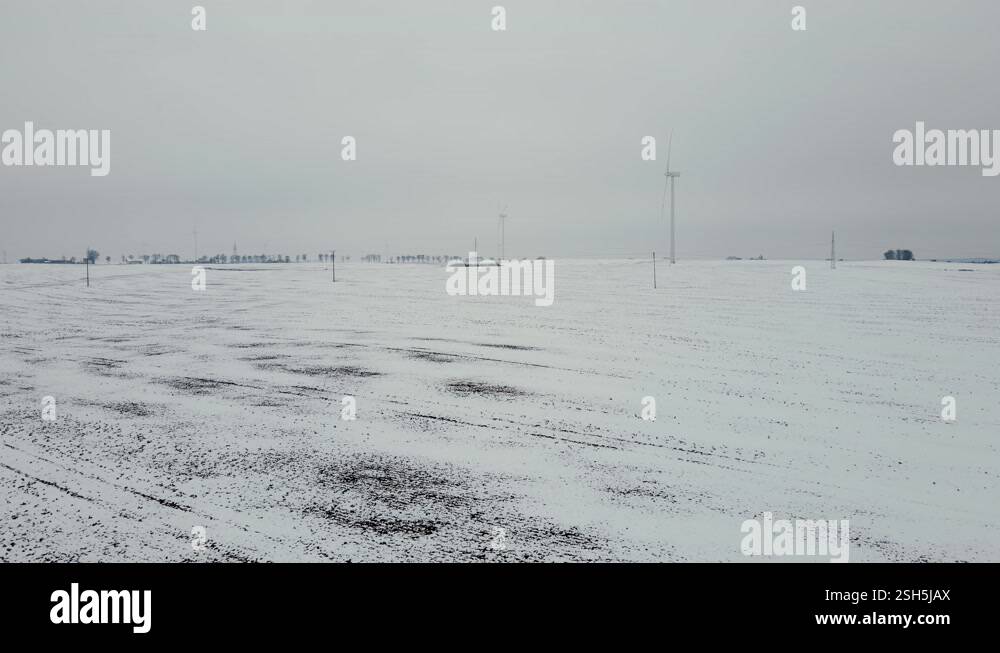 Endless agrarian farm field with sowing wheat in cold frozen snowy ...