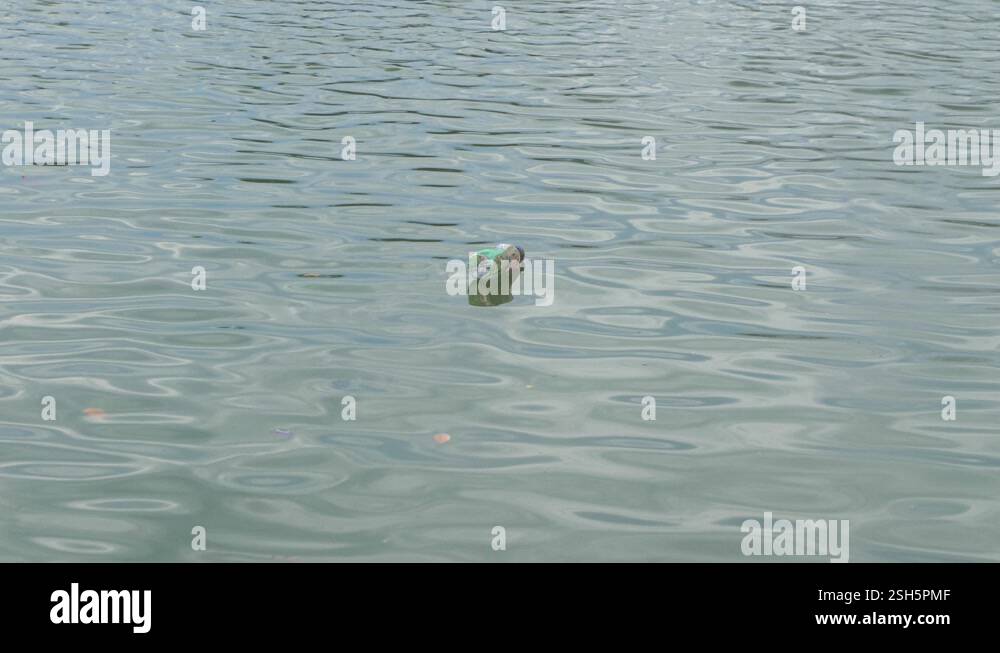 Floating litter Stock Videos & Footage - HD and 4K Video Clips - Alamy
