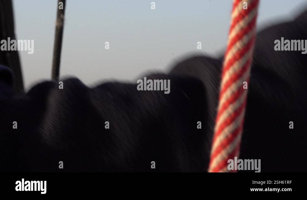 Hot Air Ballon Captain Giving Directions Stock Video Footage - Alamy