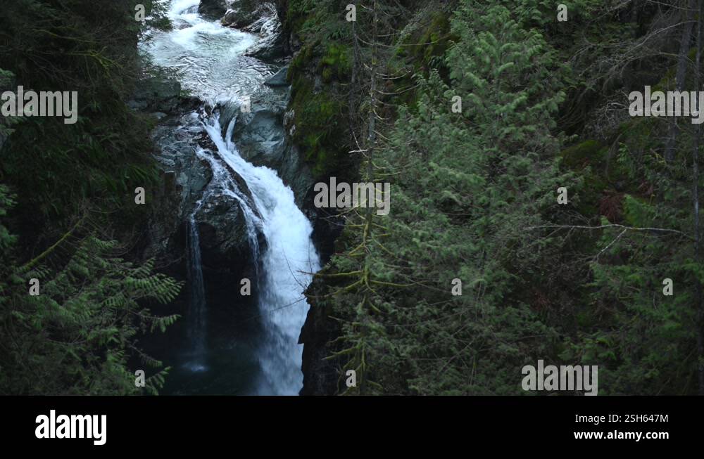Cinematic Scene of a Waterfall within a Cliff in the rainforest of the ...