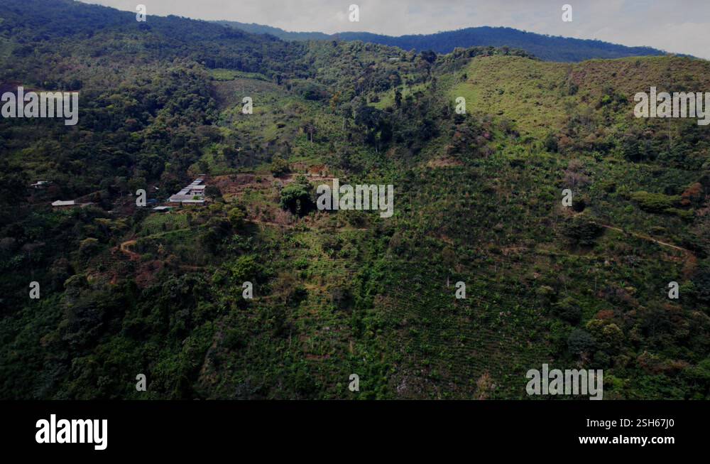 Amazon mountains and coffee plantations of Lonya Grande in Peru. Aerial ...