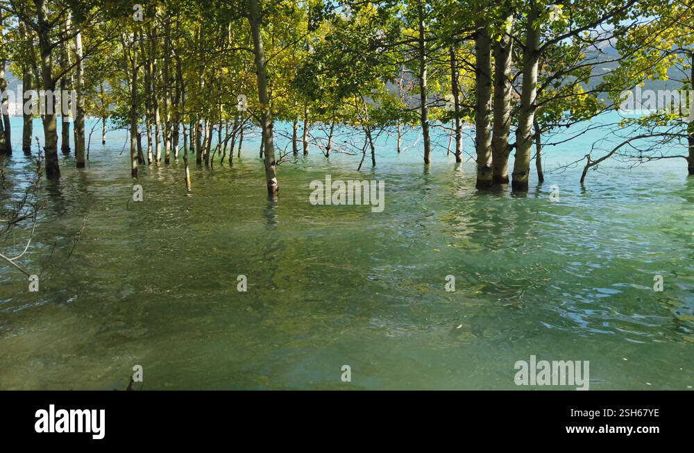 Trees With Fall Colors In Abraham Lake At Daytime In Alberta, Canada ...