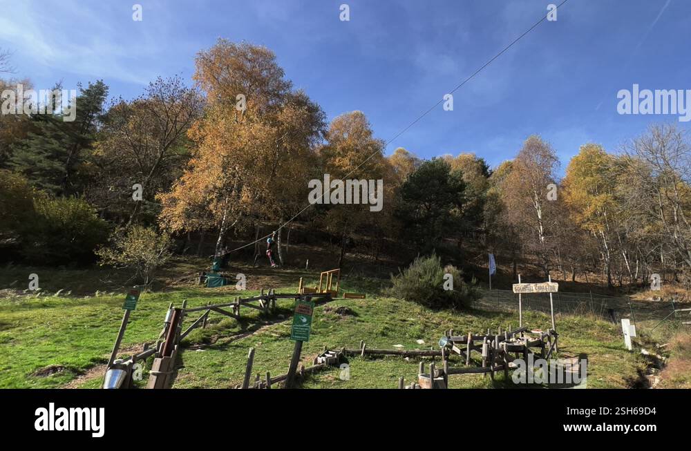 Reckless brave little girl have fun on zipline at rope adventure park ...