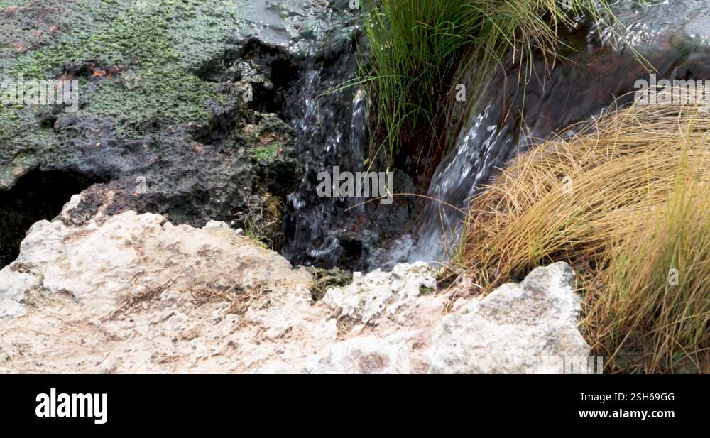 Waterfall at Australian Outback Artesian Spring, The Bubbler Stock ...