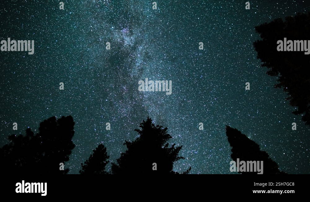 8K Sequoia National Park Perseid Meteor Shower and Milky Way Galaxy in North Sky Stock Video ...