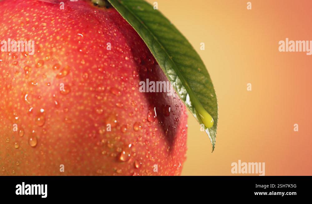 Drop falling from leaf of ripe mango on nature background. Spa Skincare ...