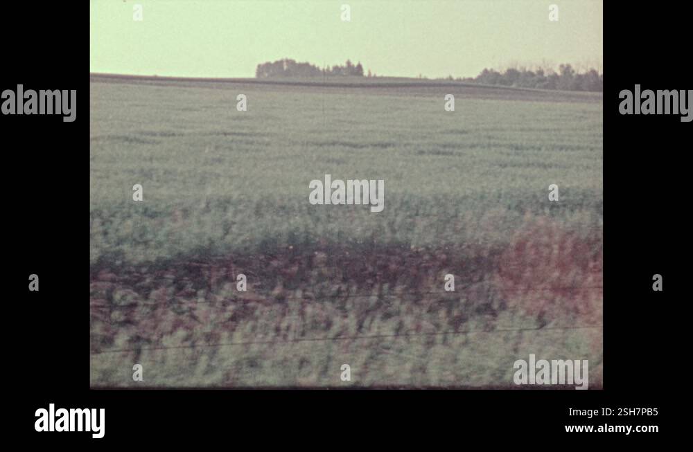 Open fields system Stock Videos & Footage - HD and 4K Video Clips - Alamy