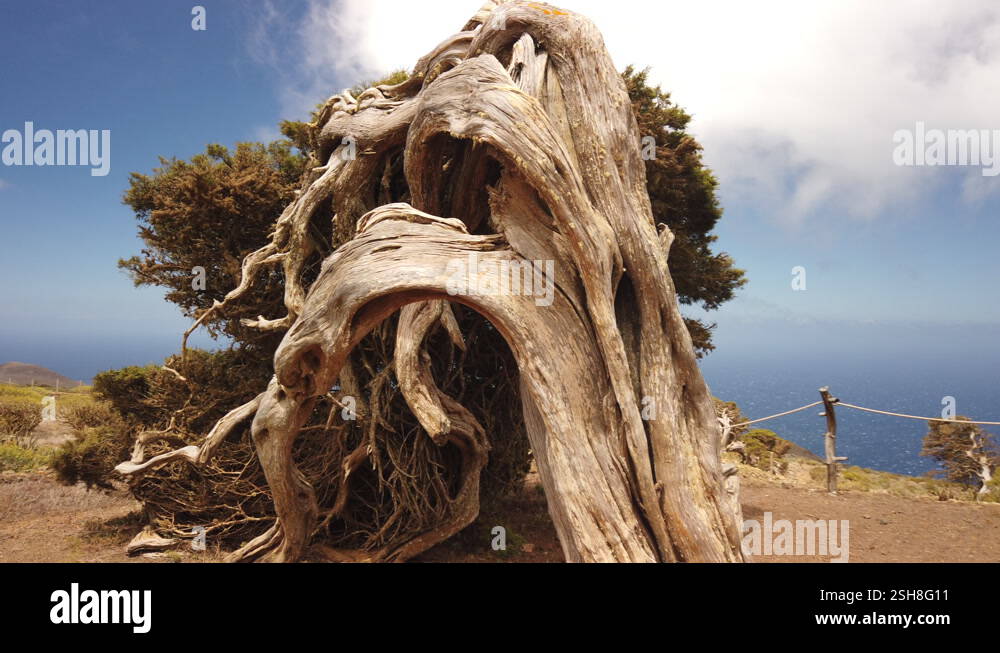Sabine island Stock Videos & Footage - HD and 4K Video Clips - Alamy